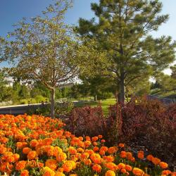 Commercial Landscaping | Landscape Services & Maintenance | BrightView