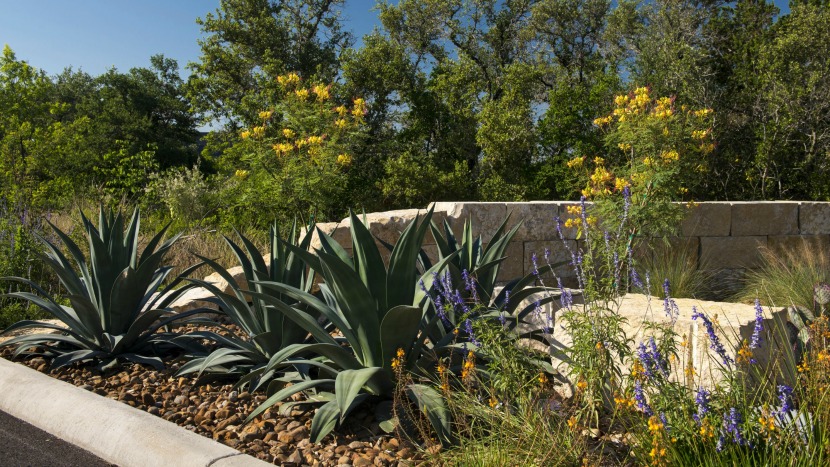 Long-term Care Landscaping | Assisted Living Landscaper | BrightView