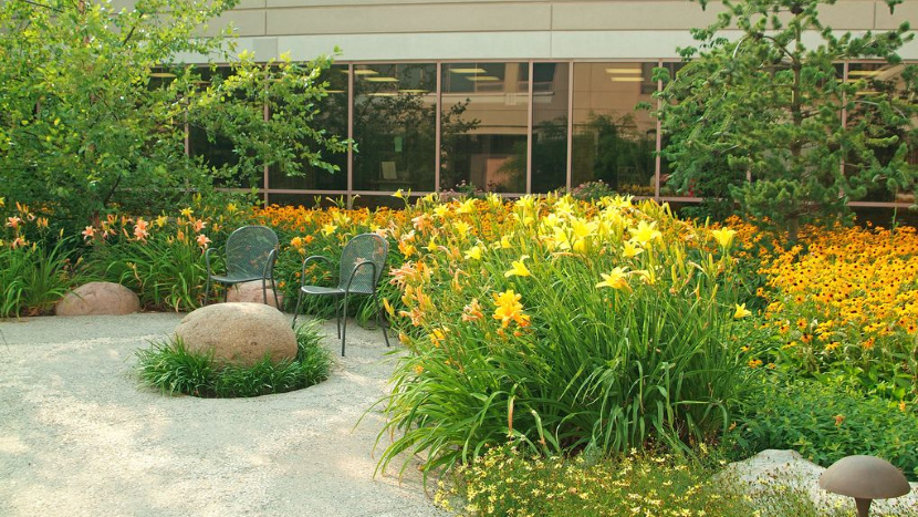 Hospital Landscaping | Long-Term Care Landscape Maintenance | BrightView