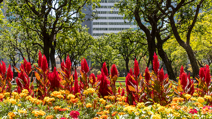 Commercial Landscaping | Landscape Services & Maintenance | BrightView