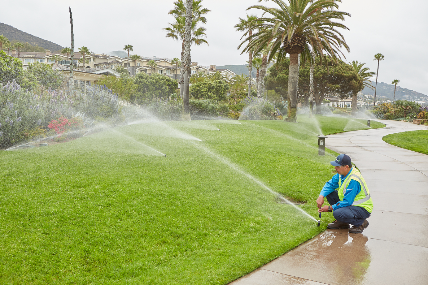 10 Easy Ways to Make A Water Efficient Landscape